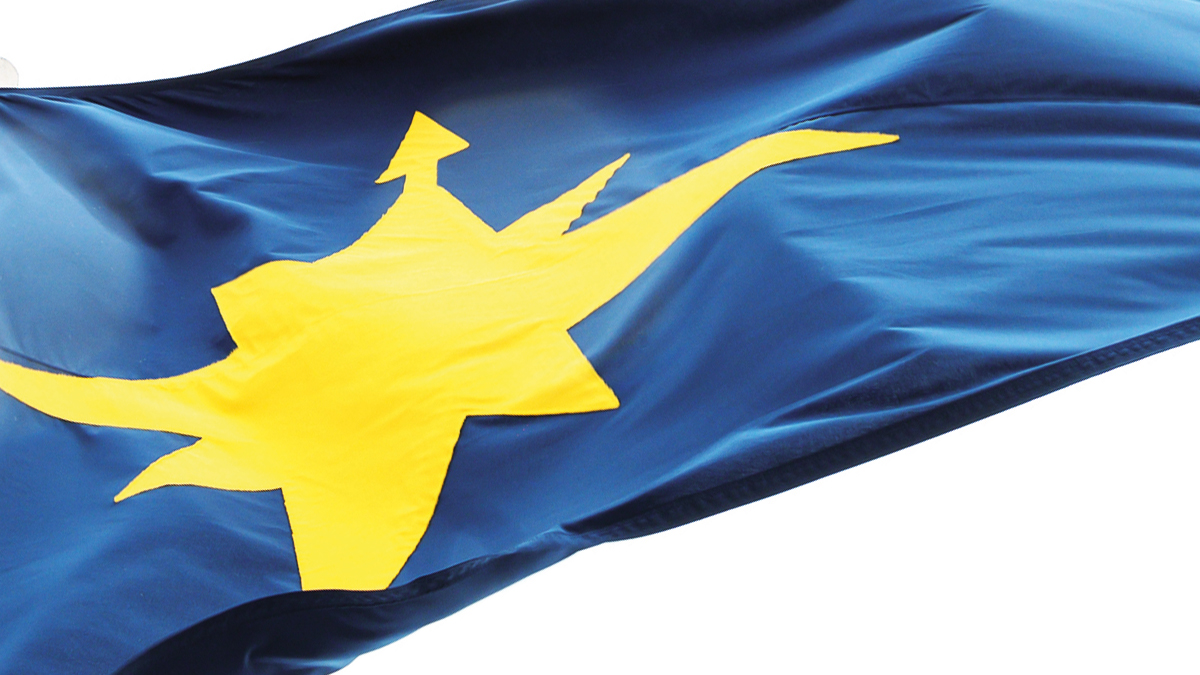 Το νέο Διοικητικό Συμβούλιο - ΙΟΠ